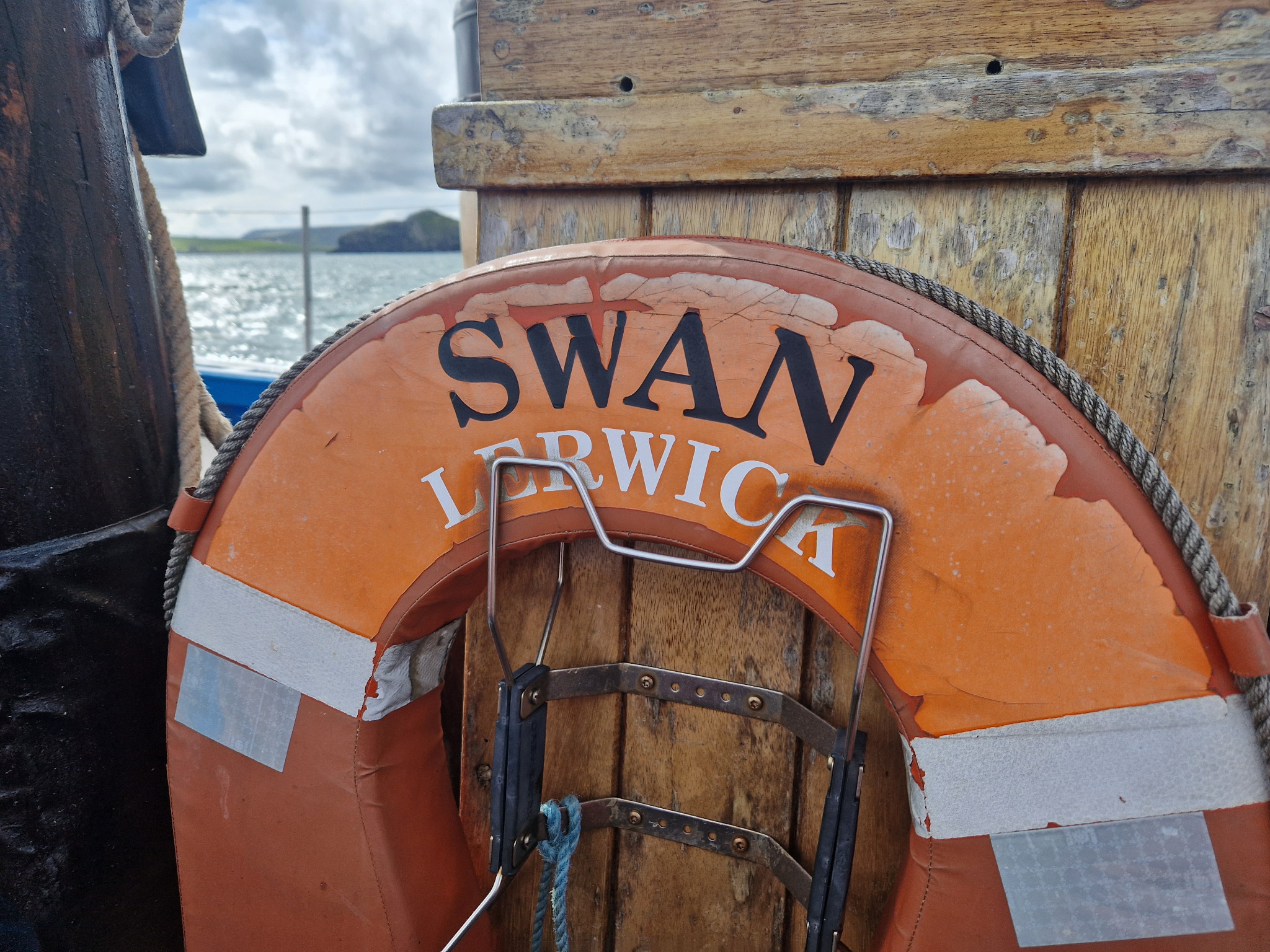 Swan Trust Seeks New Treasurer | The Swan Trust